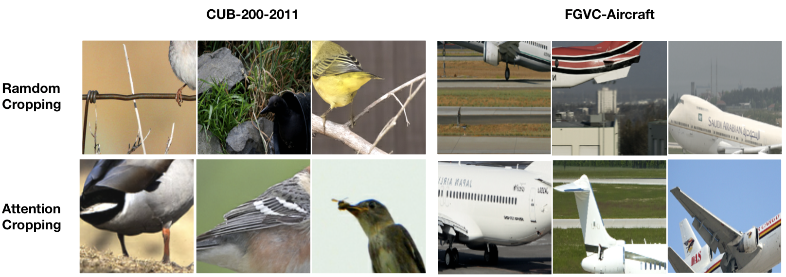 [1901.09891] See Better Before Looking Closer: Weakly Supervised Data Augmentation Network for ...