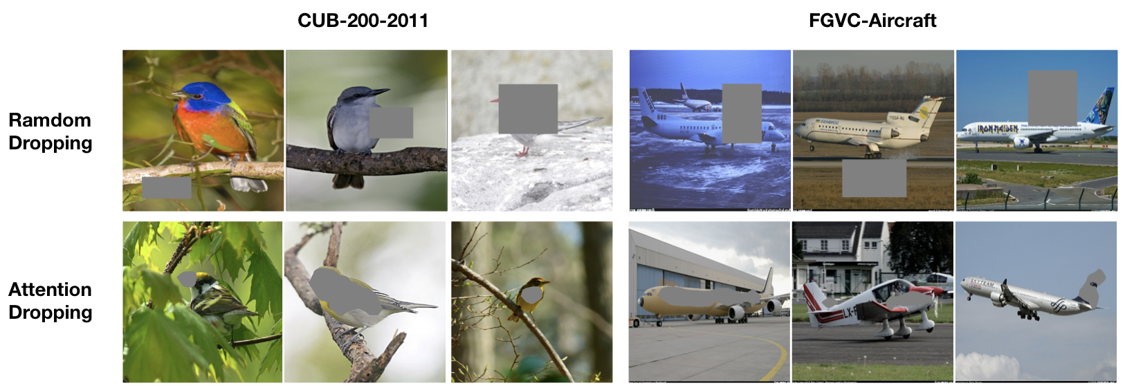 [1901.09891] See Better Before Looking Closer: Weakly Supervised Data Augmentation Network for ...