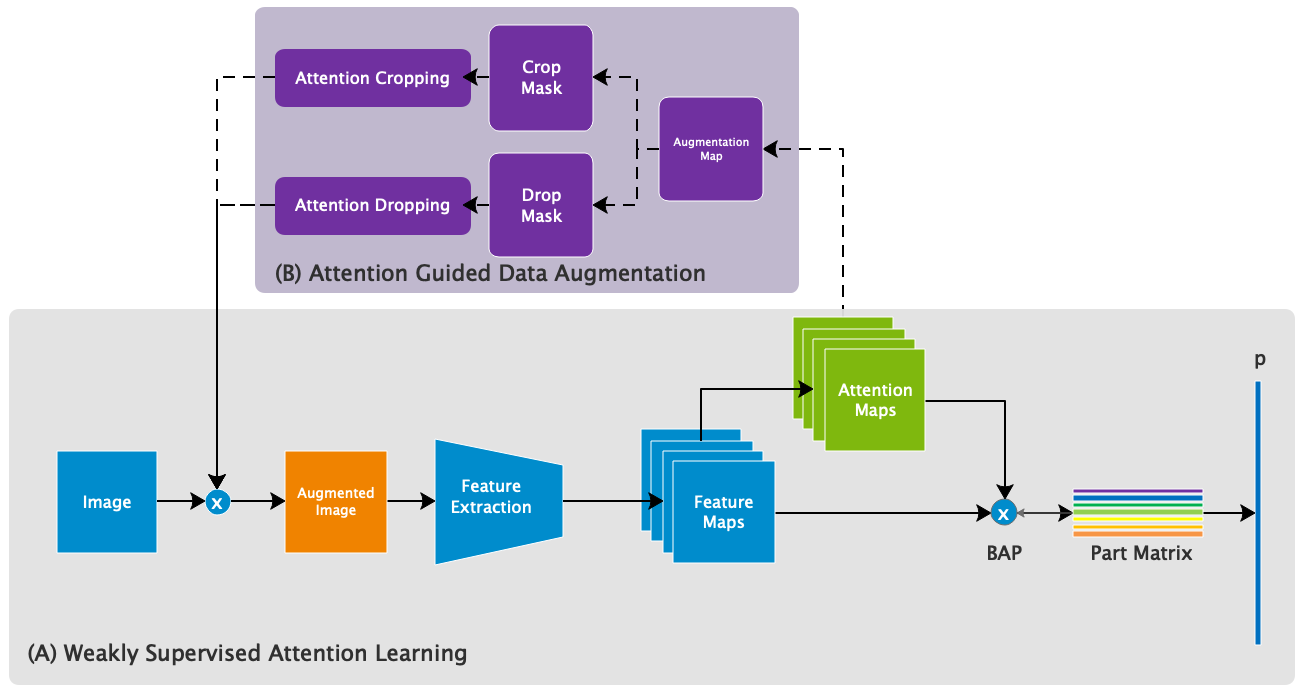 [1901.09891] See Better Before Looking Closer: Weakly Supervised Data Augmentation Network for ...