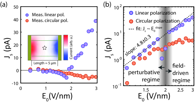 [1903.07558] Interaction of carrier envelope phase-stable laser pulses ...