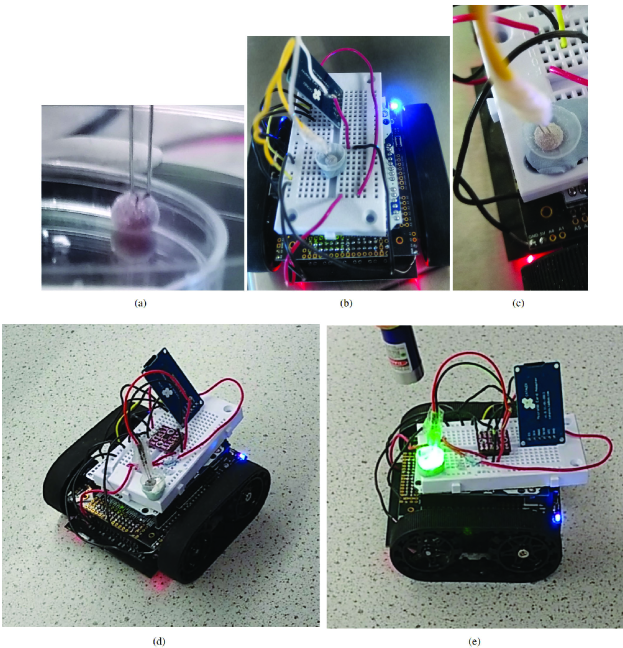[1904.01520] Belousov-Zhabotinsky liquid marbles in robot control