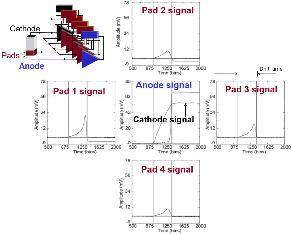 [1904.01529] Front-end ASIC for Spectroscopic Readout of Virtual Frisch-Grid CZT Bar Sensors