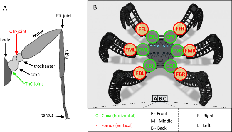 [1904.11243] NeuroPod: a real-time neuromorphic spiking CPG applied to ...