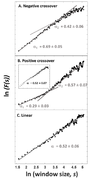 [1904.11752] Rushing or dragging? An analysis of the “universality” of ...