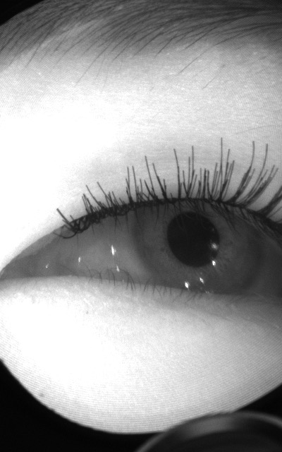 [1905.03702] OpenEDS: Open Eye Dataset