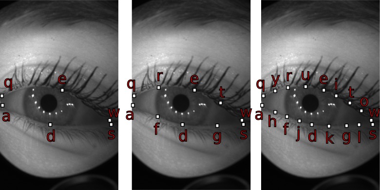 [1905.03702] OpenEDS: Open Eye Dataset