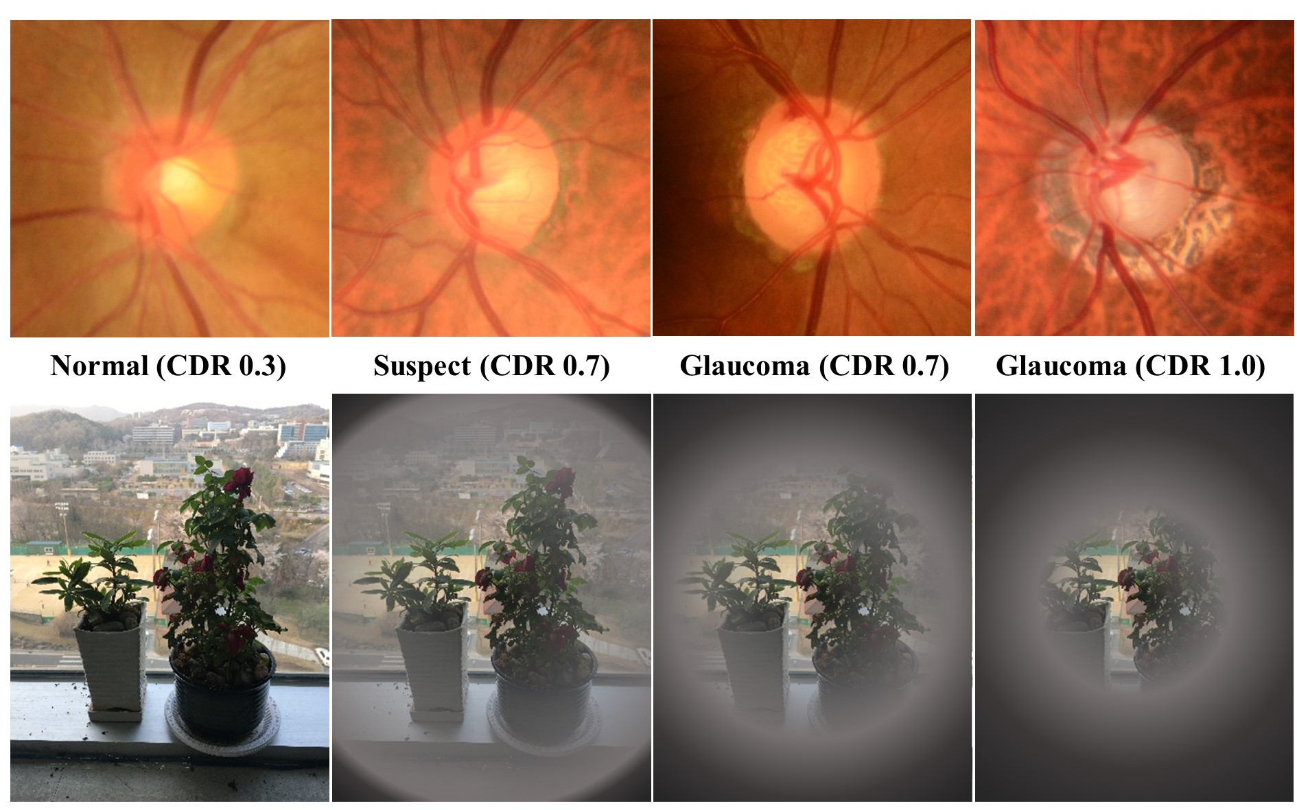 [1905.06509] TRk-CNN: Transferable Ranking-CNN for image classification ...