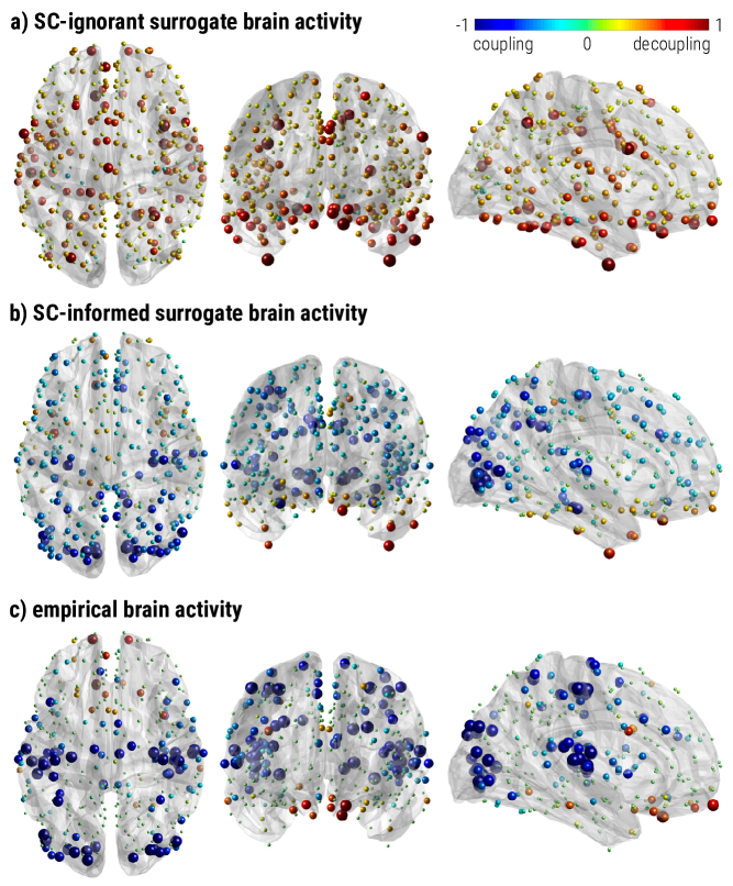 [1905.07813] Decoupling of brain function from structure reveals ...