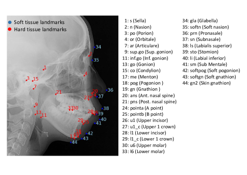 [1906.02961] Deep Learning based Cephalometric Landmark Identification ...