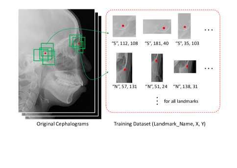 [1906.02961] Deep Learning based Cephalometric Landmark Identification ...