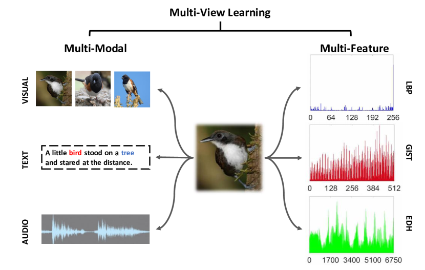 [1908.01978] Multi-view Deep Subspace Clustering Networks