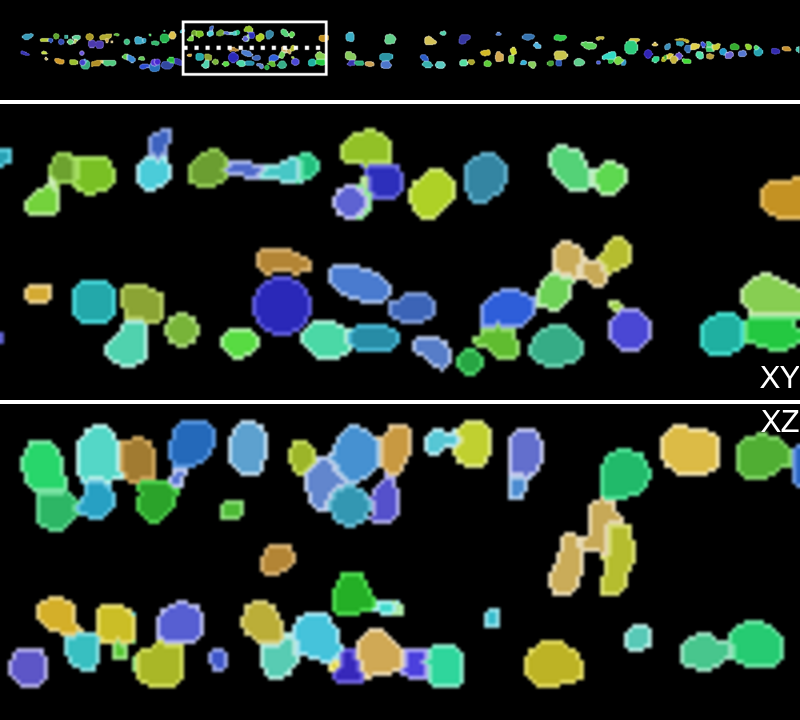 [1908.03636] Star-convex Polyhedra for 3D Object Detection and Segmentation in Microscopy