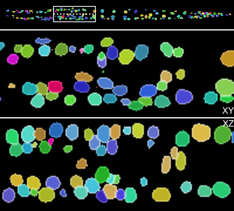 [1908.03636] Star-convex Polyhedra for 3D Object Detection and Segmentation in Microscopy