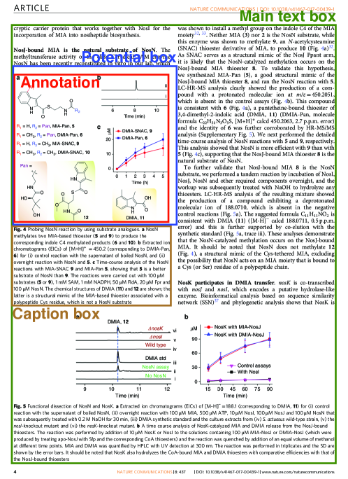 [1908.07836] PubLayNet: largest dataset ever for document layout analysis