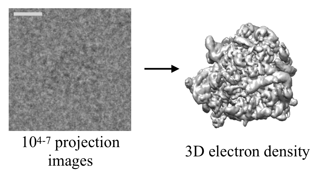 [1909.05215] Reconstructing continuous distributions of 3D protein ...