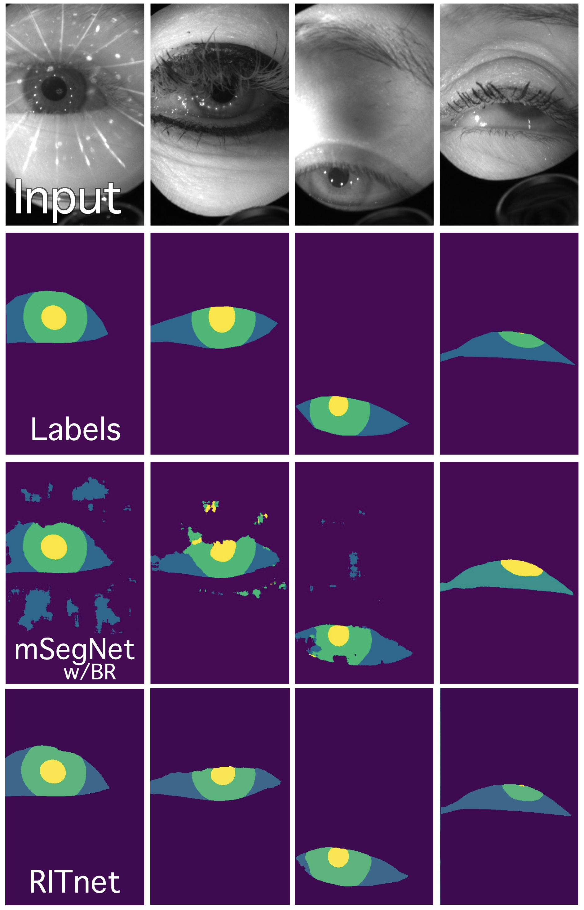 [1910.00694] RITnet: Real-time Semantic Segmentation of the Eye for ...
