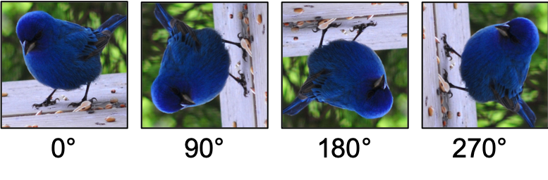 [1910.05872] Self-supervised Label Augmentation via Input Transformations