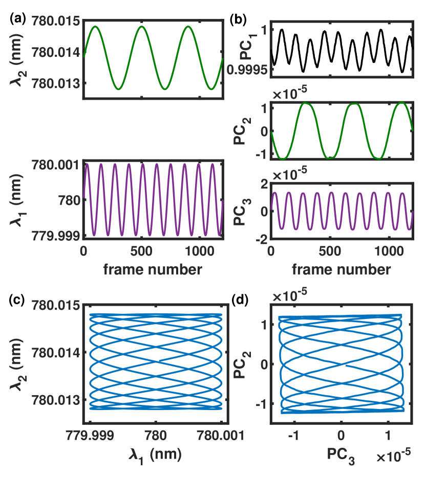 [1910.13411] Femtometer-resolved simultaneous measurement of multiple ...