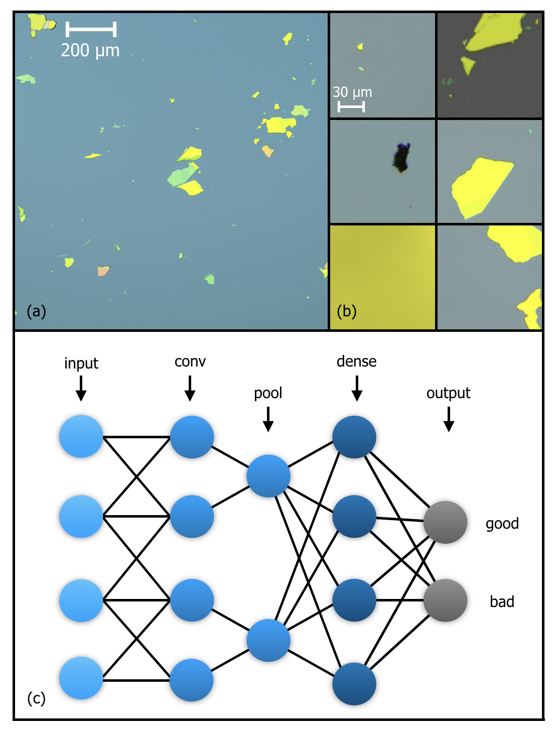[1911.00066] Fully automated identification of 2D material samples