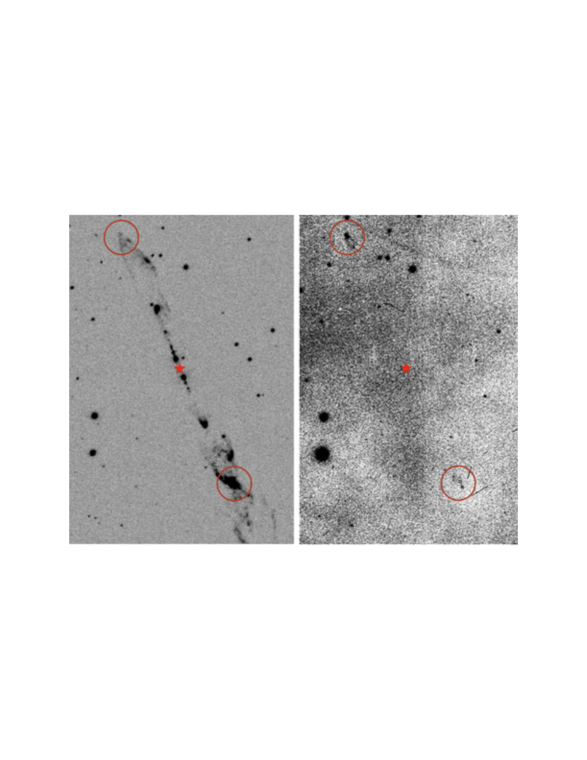 [1911.05877] The Giant Herbig-Haro Flow HH 212 and Associated Star ...