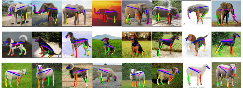 [1912.08265] Learning from Synthetic Animals