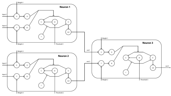 [1912.11423] Towards Multicellular Biological Deep Neural Nets Based on ...