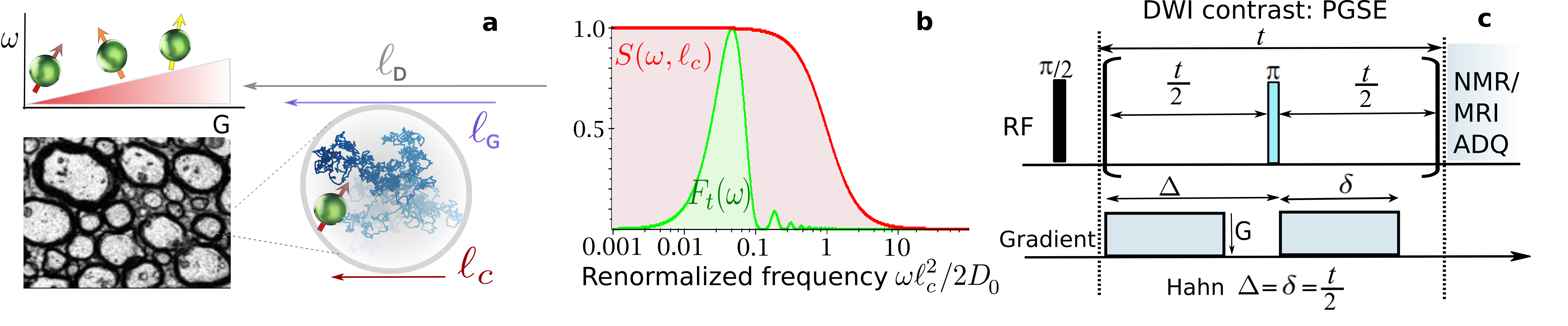 [1912.12239] Precision limits of tissue microstructure characterization ...