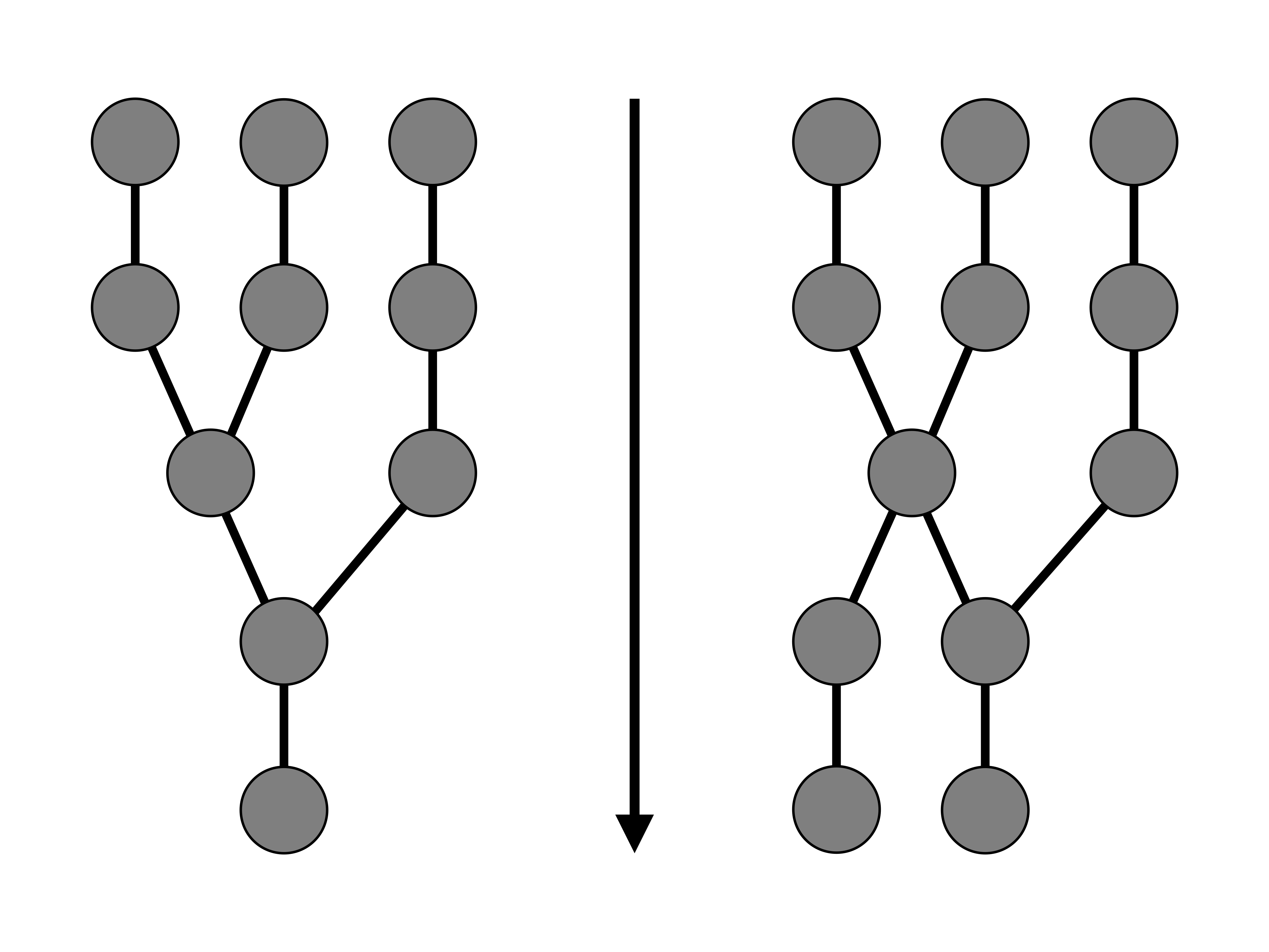 [2003.01187] MEGA: Merger graphs of structure formation