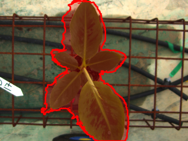 [2003.08073] Unsupervised Multi-Modal Image Registration via Geometry Preserving Image-to-Image ...