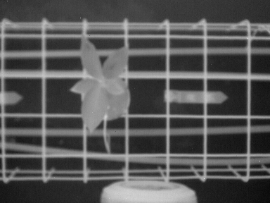 [2003.08073] Unsupervised Multi-Modal Image Registration via Geometry Preserving Image-to-Image ...