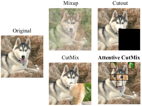 [2003.13048] Attentive CutMix: An Enhanced Data Augmentation Approach ...