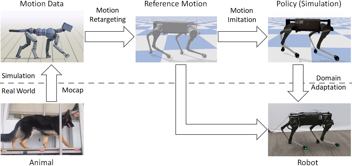 [2004.00784] Learning Agile Robotic Locomotion Skills by Imitating Animals