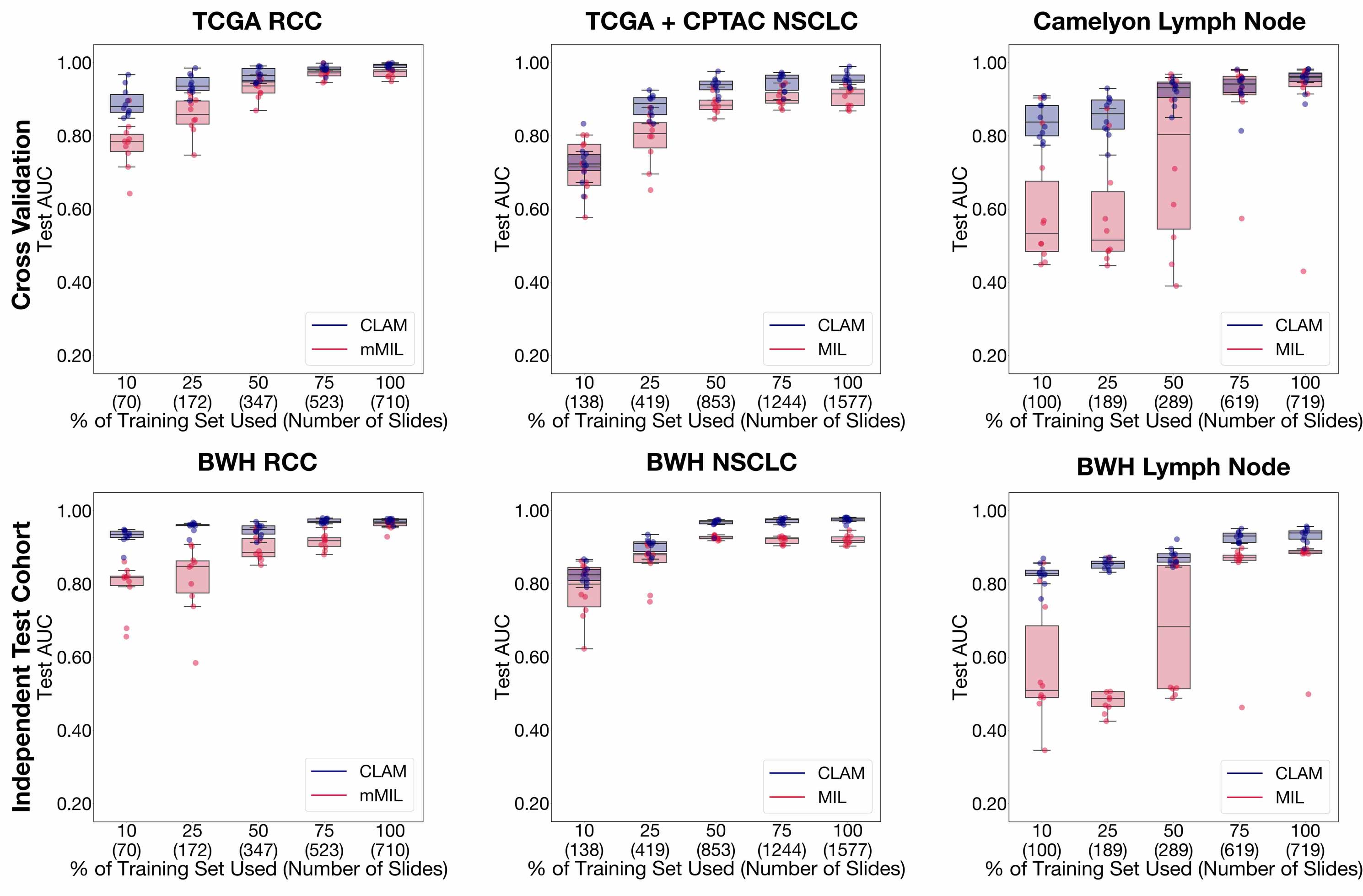 [2004.09666] Data Efficient and Weakly Supervised Computational Pathology on Whole Slide Images