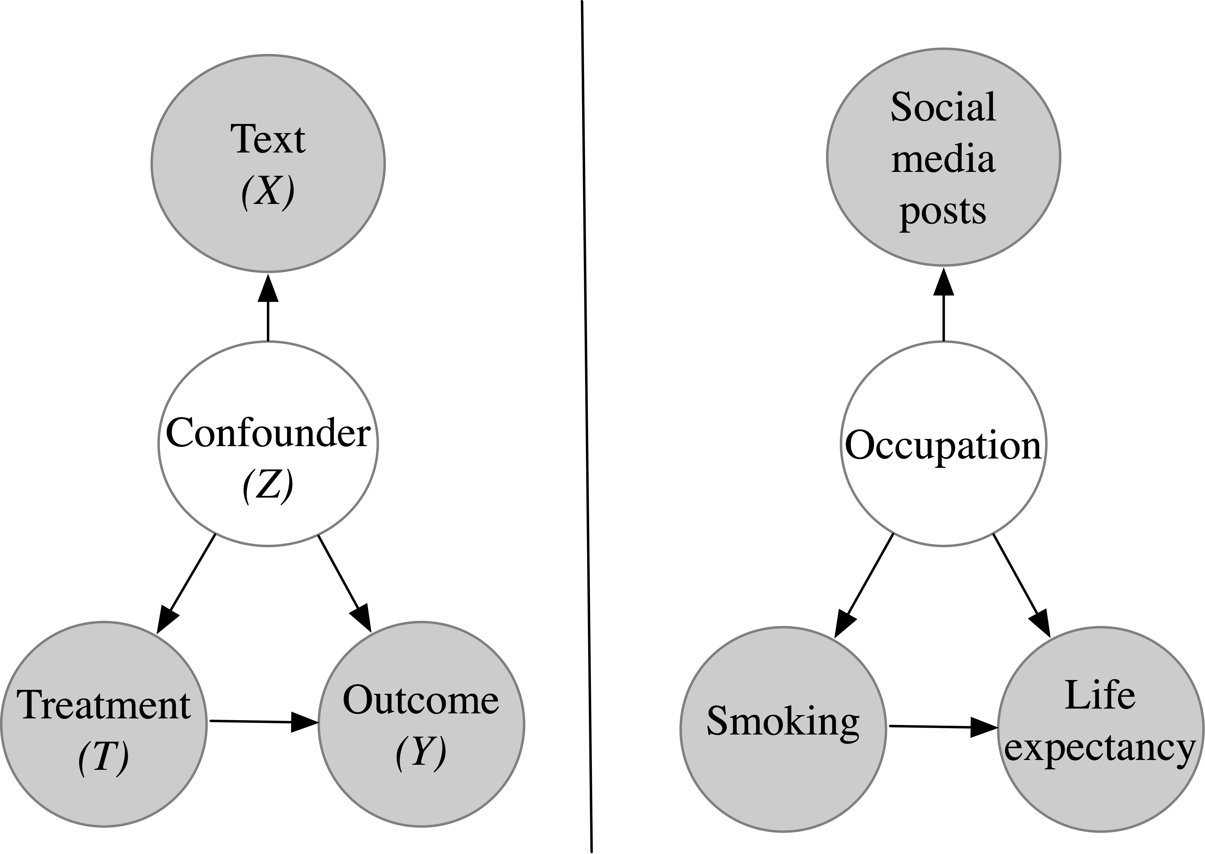 [2005.00649] Text and Causal Inference: A Review of Using Text to Remove Confounding from Causal ...
