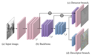 [2006.05077] SEKD: Self-Evolving Keypoint Detection and Description
