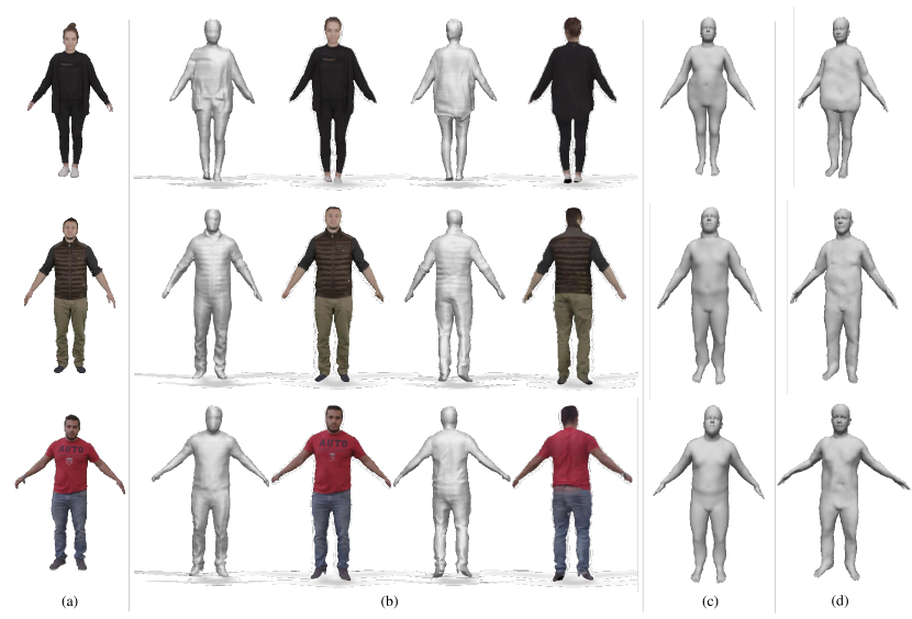 [2007.03858] PaMIR: Parametric Model-Conditioned Implicit Representation for Image-based Human ...