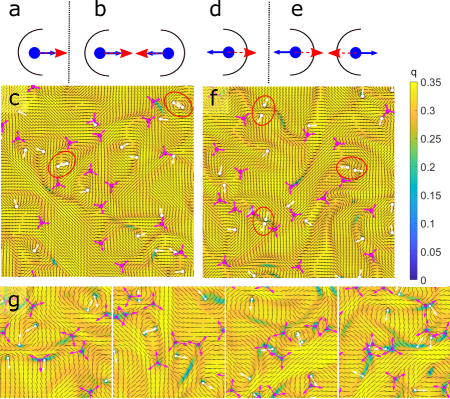 [2007.13443] Binding self-propelled topological defects in active ...
