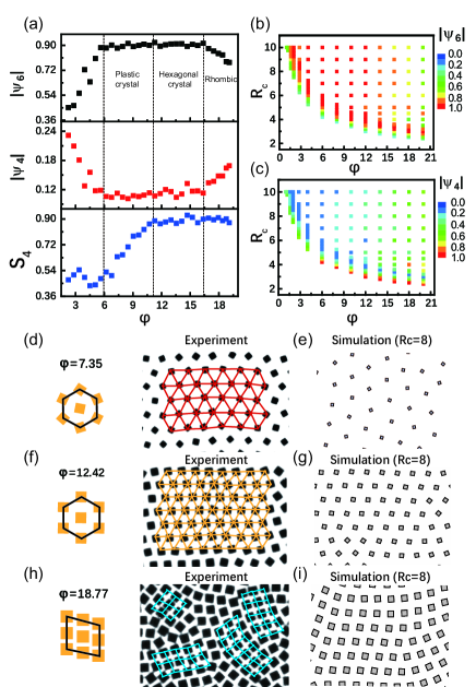 [2008.01947] Coupling between particle shape and long-range interaction in the high-density regime