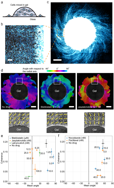 [2008.10852] Chirality-driven edge flow and non-Hermitian topology in ...