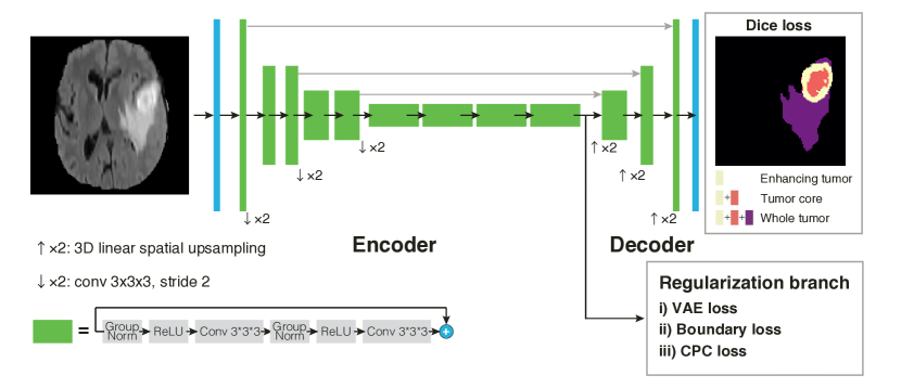 [2009.11160] Label-Efficient Multi-Task Segmentation using Contrastive Learning