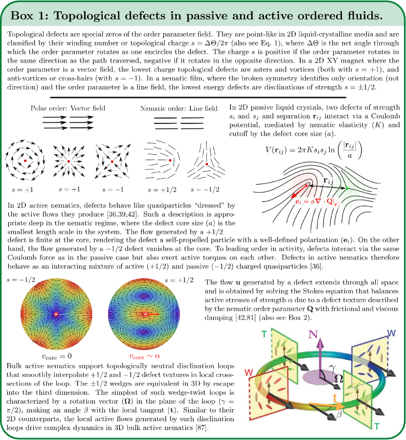 [2010.00364] Topological active matter
