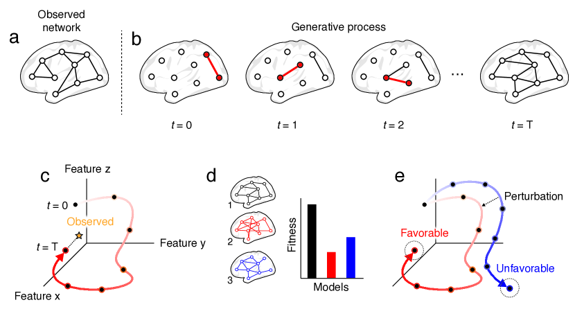 [2010.01591] Network neuroscience and the connectomics revolution