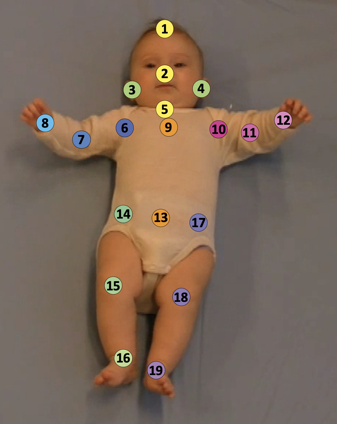 [2010.05949] Towards human-level performance on automatic pose ...