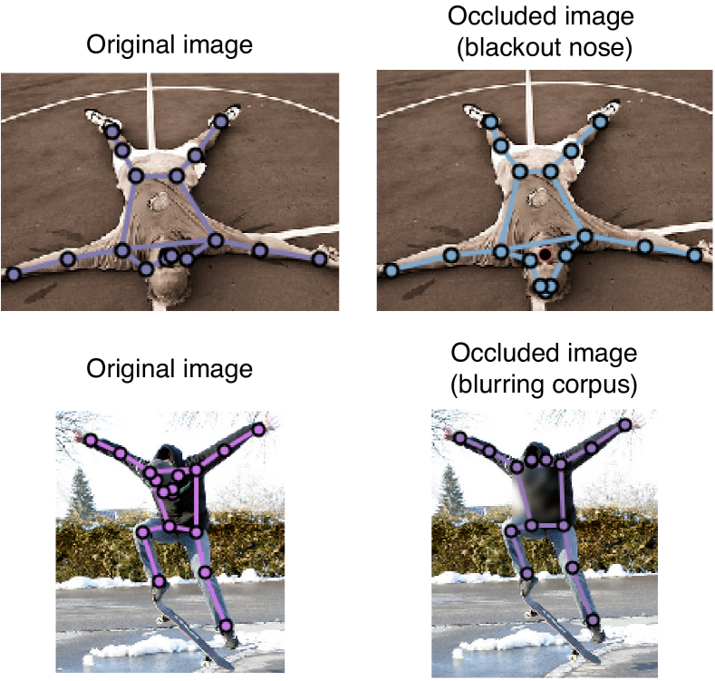 [2010.10451] Tilting at windmills: Data augmentation for deep pose ...