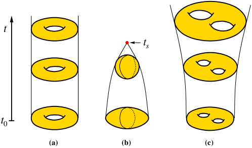 [2010.15369] Topological Quantum Gravity of the Ricci Flow
