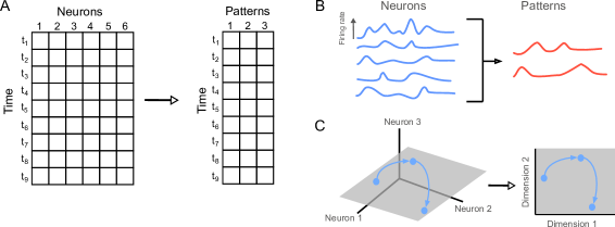 [2011.08088] Strong and weak principles of neural dimension reduction