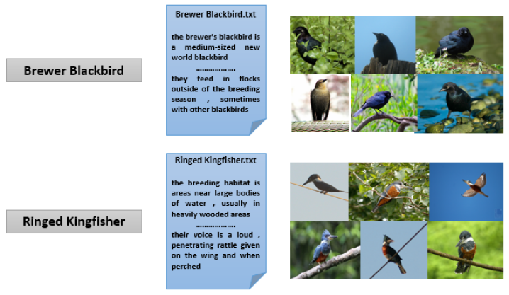 [2011.09236] A Multi-class Approach – Building a Visual Classifier based on Textual Descriptions ...
