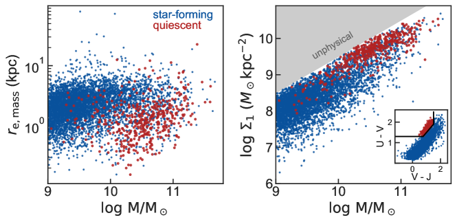 [2101.05820] Dissecting the size-mass and Σ₁-mass relations at 1.0