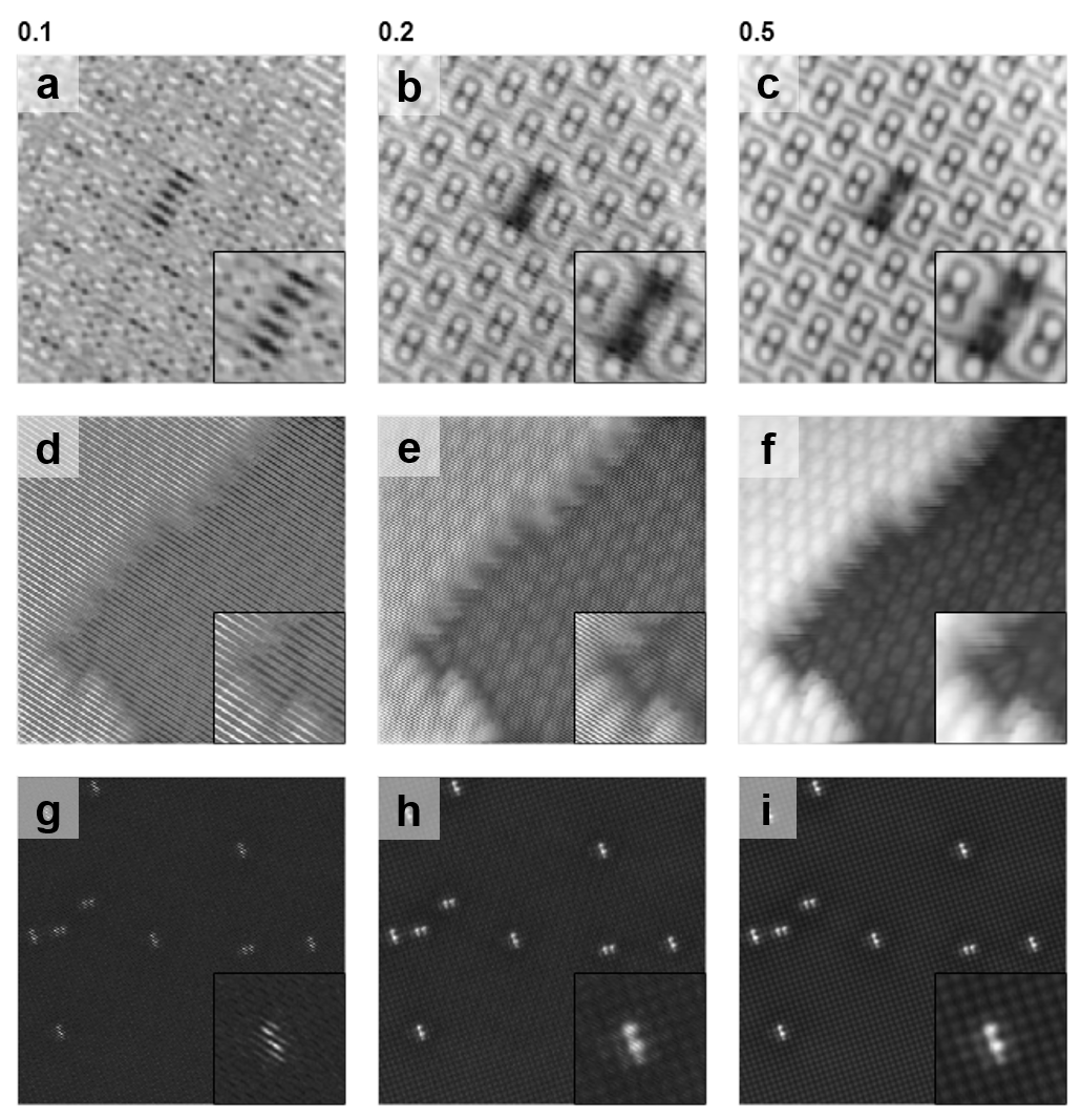 [2101.06332] Compressed Sensing for STM imaging of defects and disorder