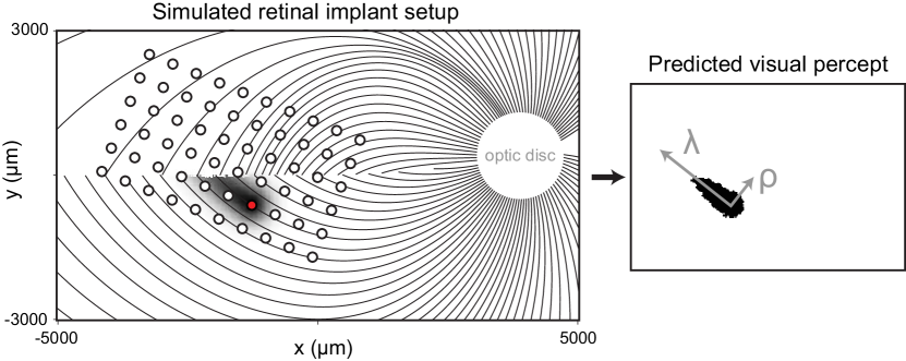 [2102.00297] Deep Learning–Based Scene Simplification for Bionic Vision
